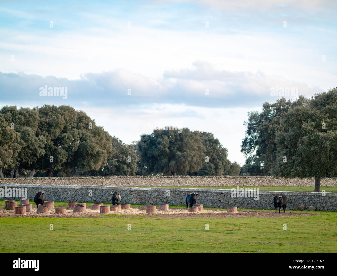 Lidia hi-res stock photography and images - Alamy