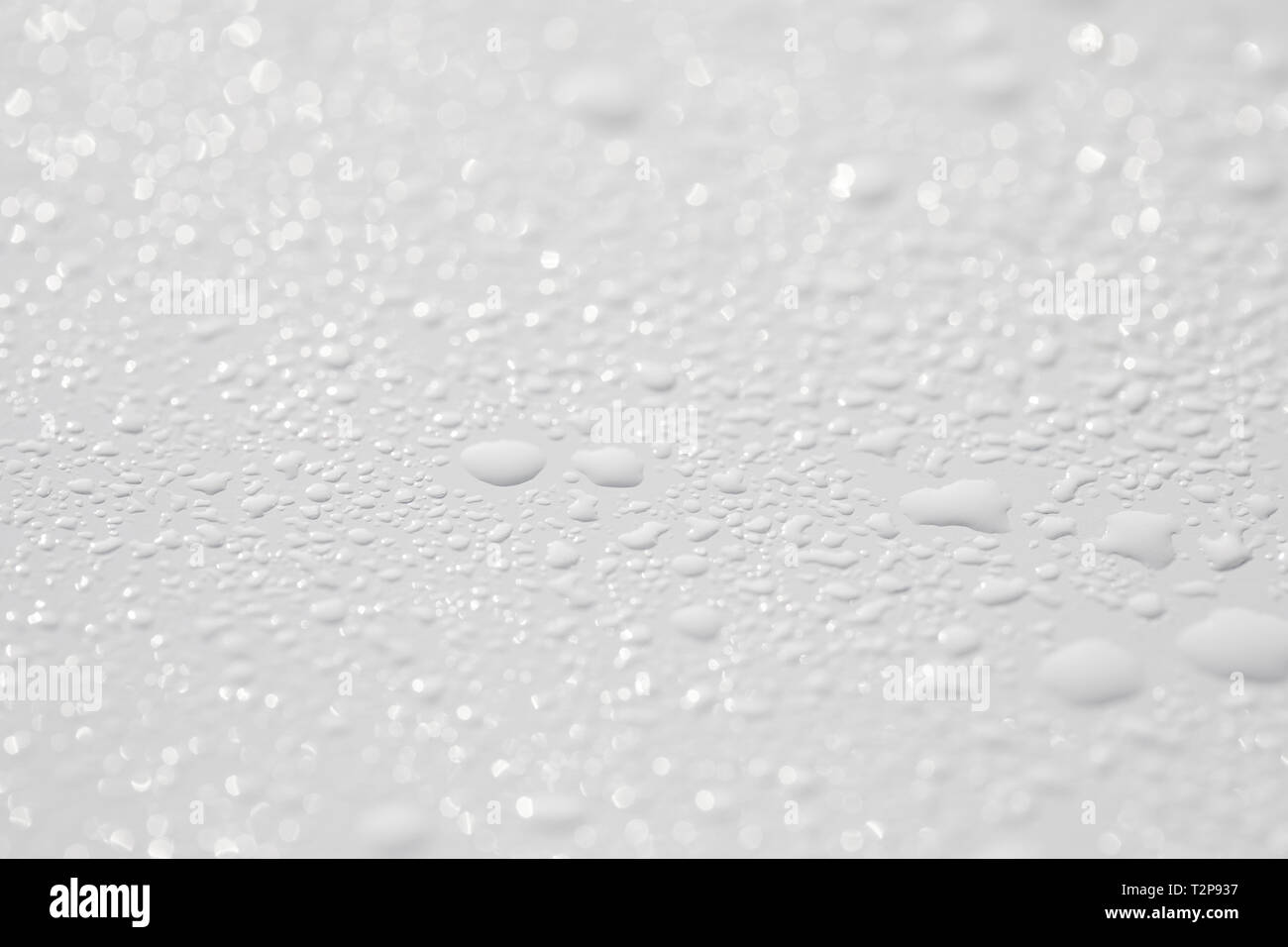 Sprinkled with rain drops hi-res stock photography and images - Alamy