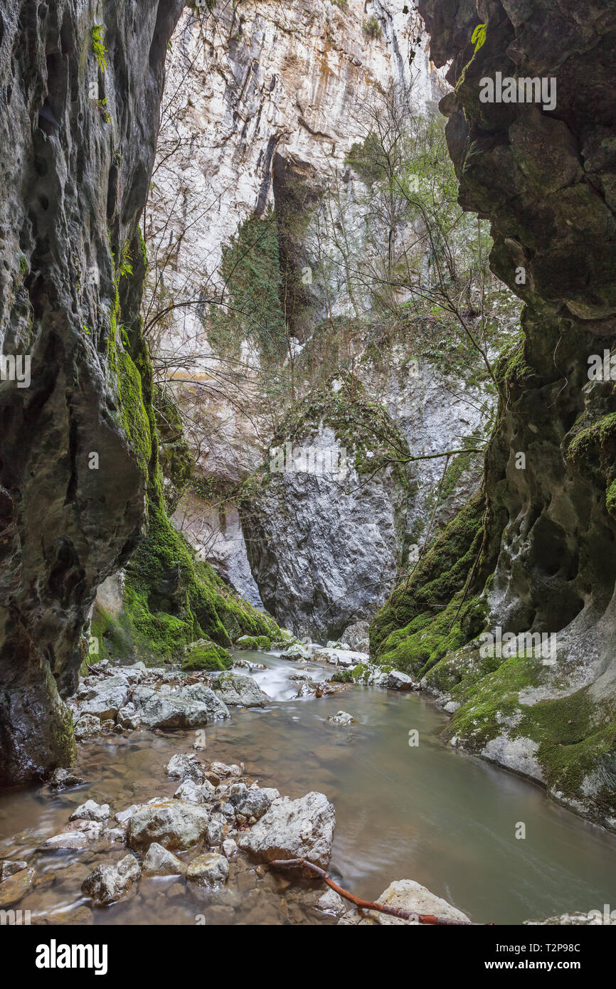 stream Ponicova in Ciucaru Mare Mountains, Romania Stock Photo - Alamy