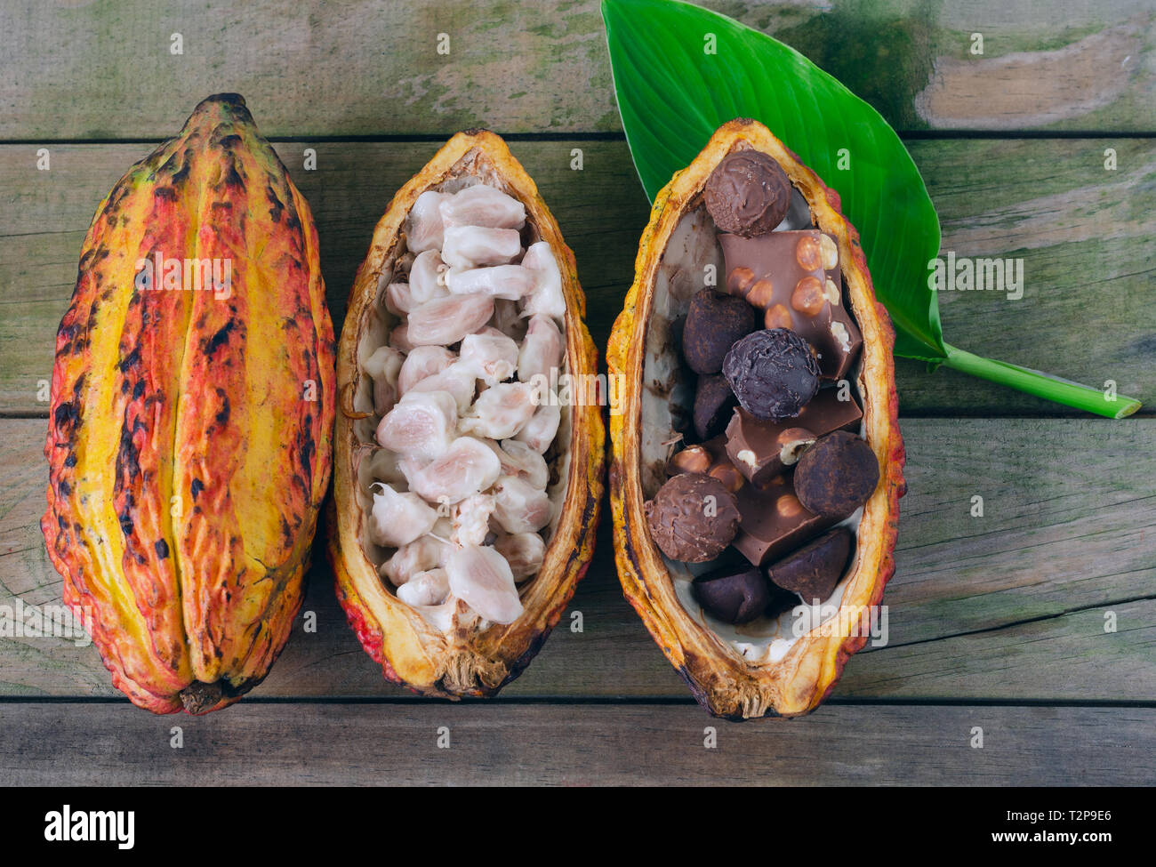 Cacao hi-res stock photography and images - Alamy