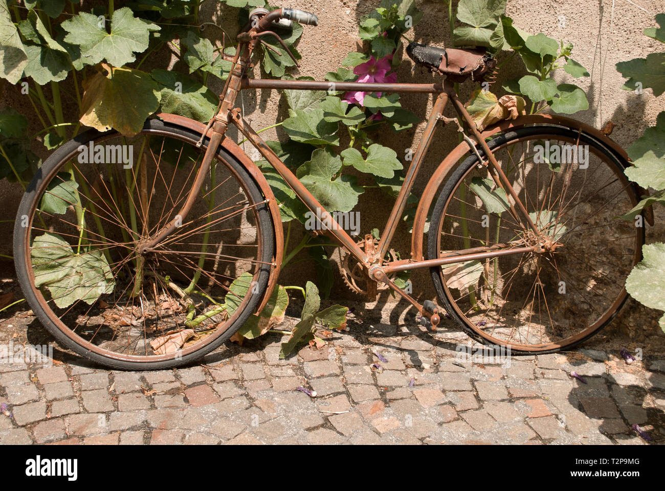 an old and abandoned rusty bicycle Stock Photo - Alamy