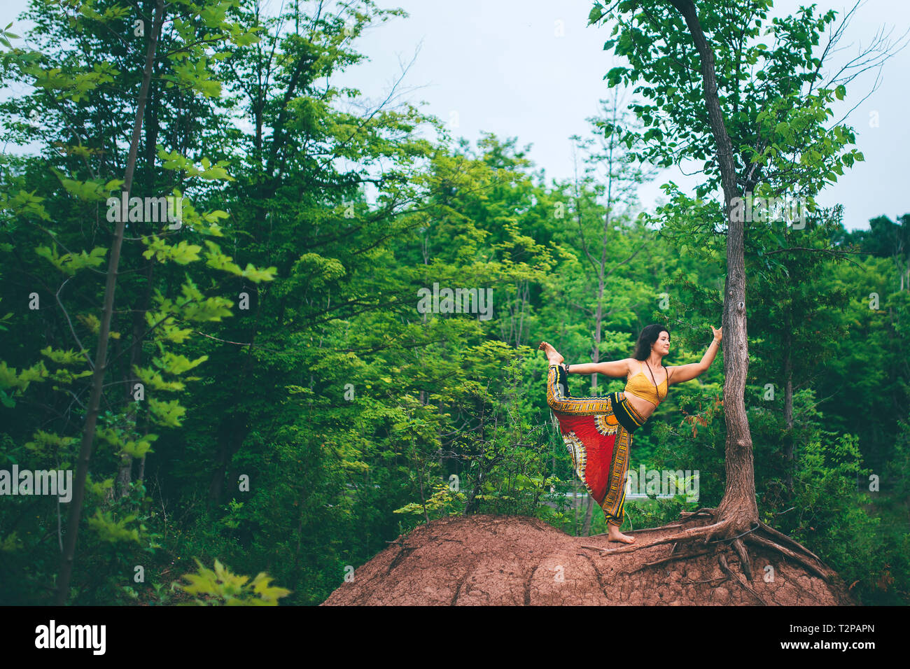 Woman doing dancer pose in forest Stock Photo - Alamy