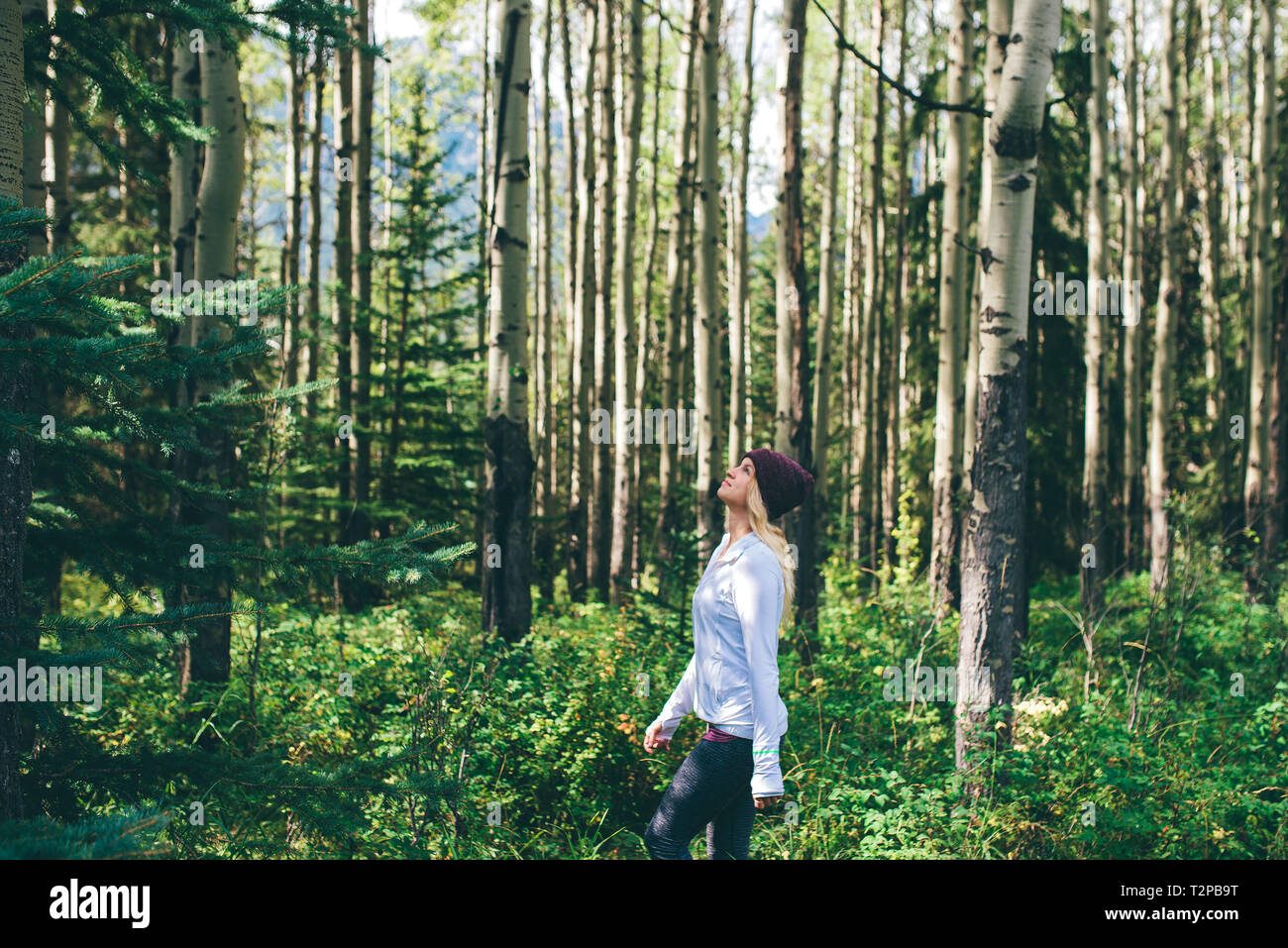 Woman enjoying forest hi-res stock photography and images - Alamy