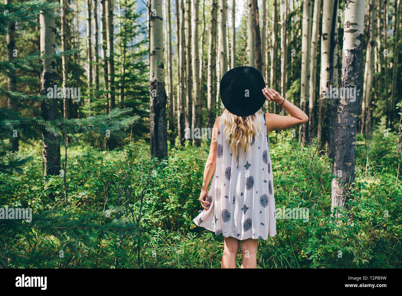 Woman enjoying forest hi-res stock photography and images - Alamy