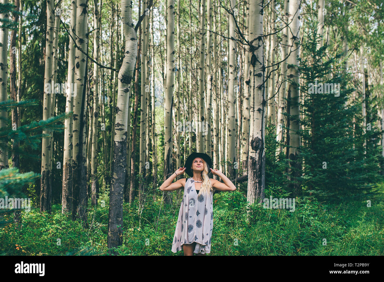 Banff arms hi-res stock photography and images - Alamy