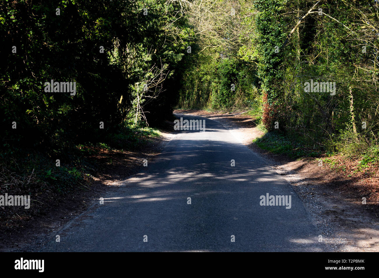 Shaded roadway hi-res stock photography and images - Alamy