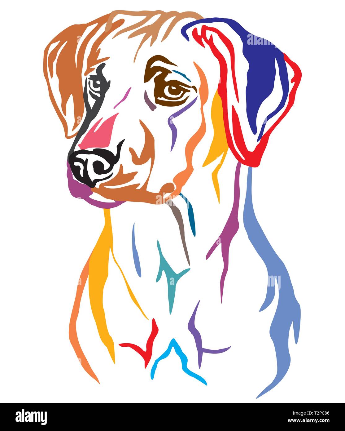 Rhodesian ridgeback silhouette Stock Vector Images - Alamy