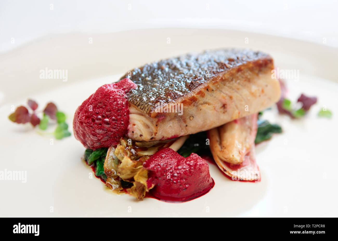 Black cod fillet witt chicory and beetroot juice froth - gourmet dish ...