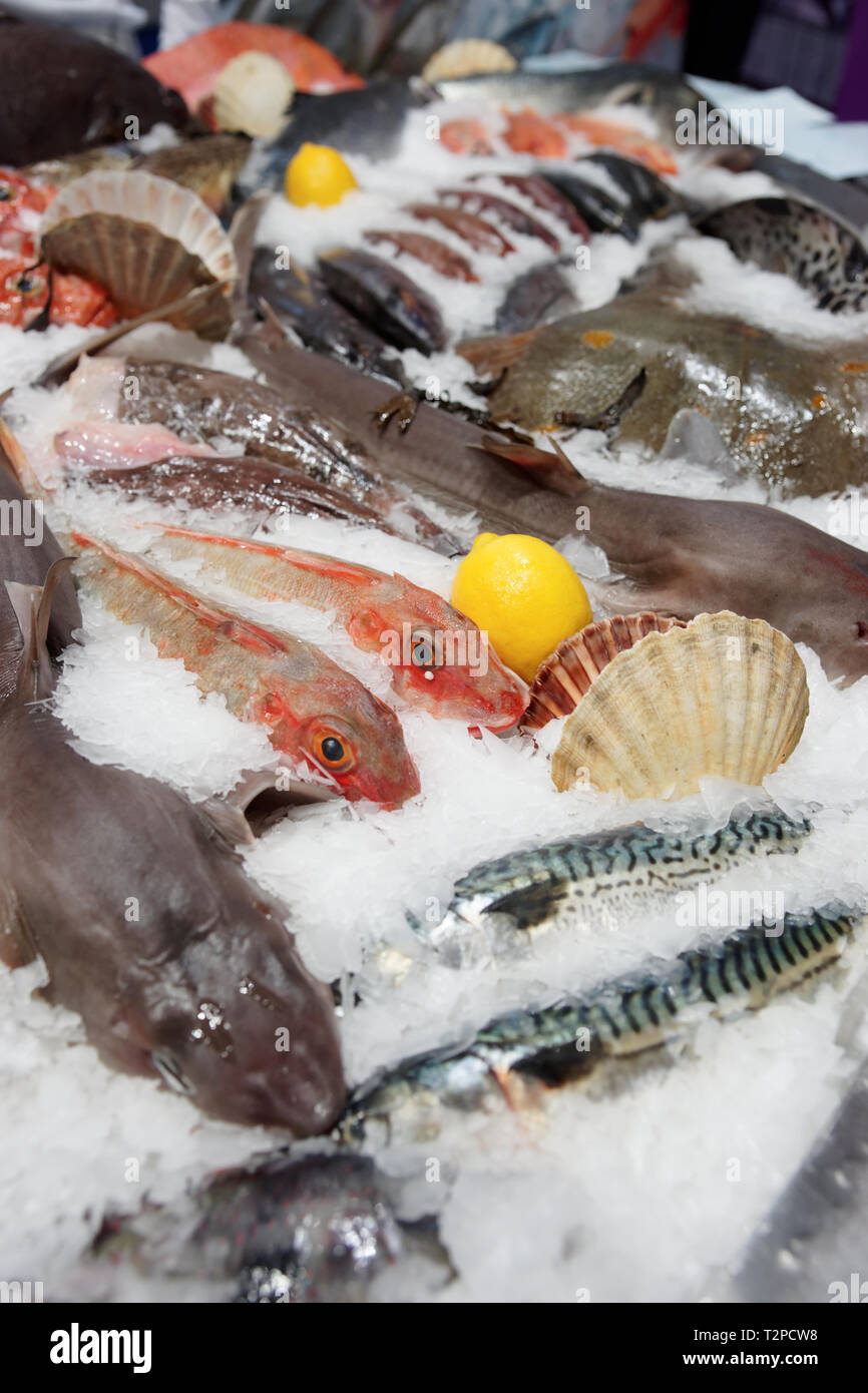 Large choice hi-res stock photography and images - Alamy