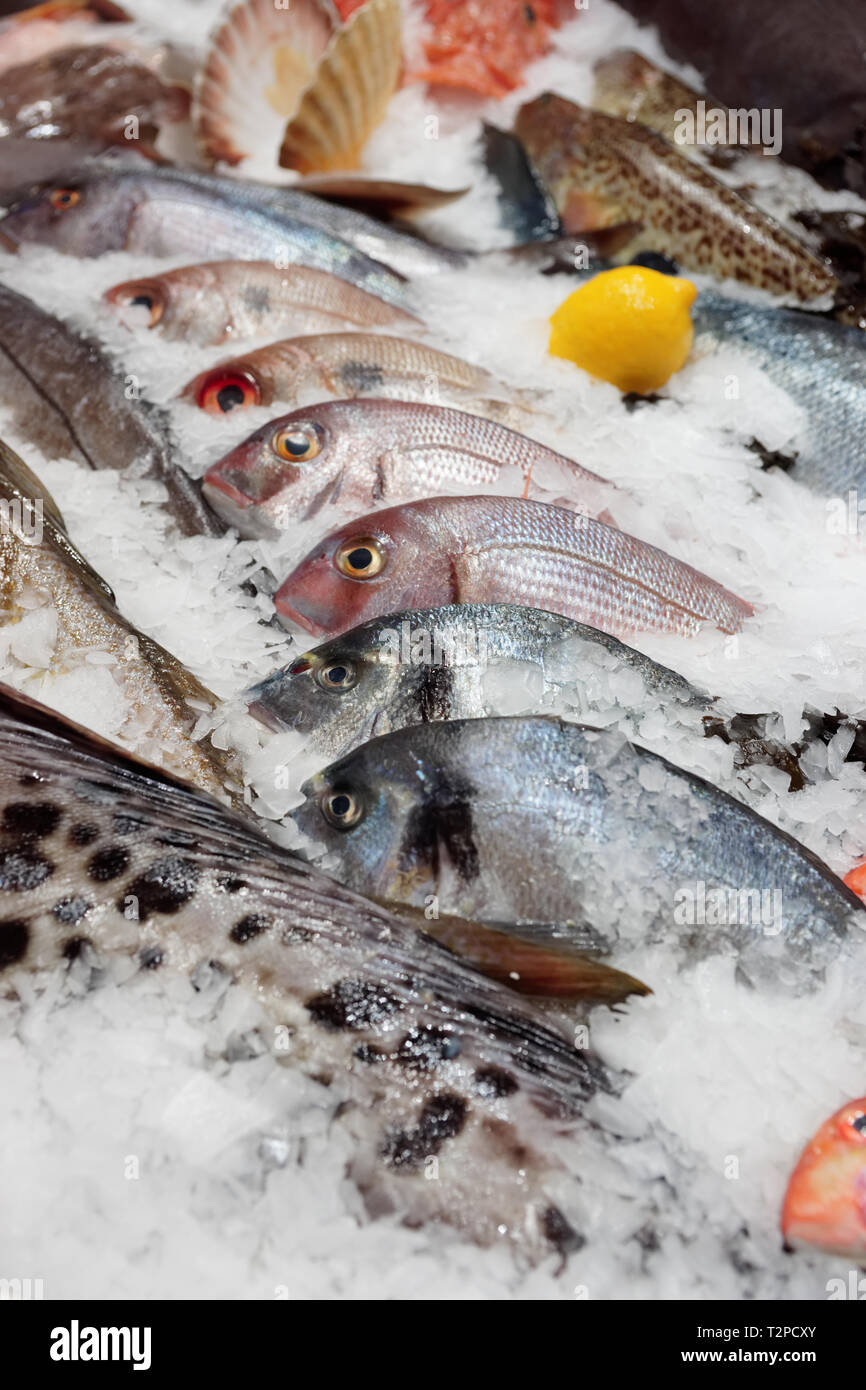 Great amount of fresh fish on the market stall Stock Photo - Alamy