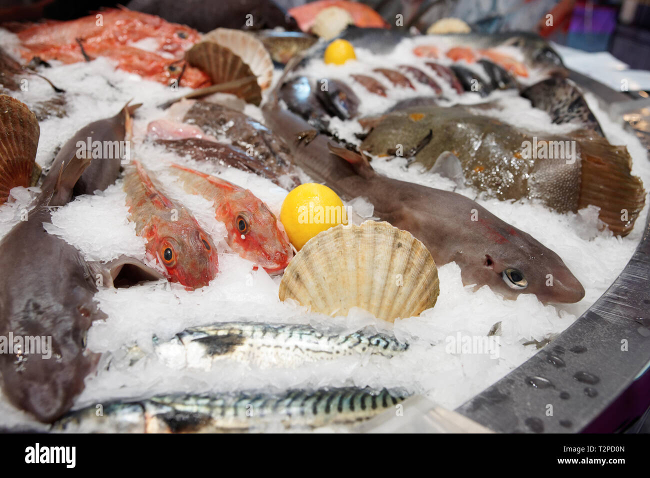 Wide selection of fish on seafood market display Stock Photo - Alamy