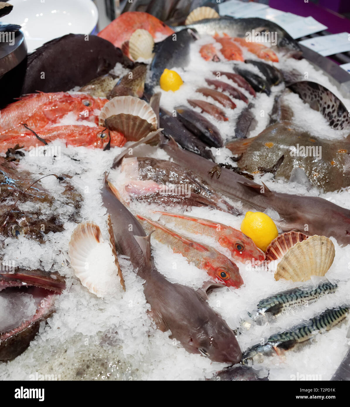 Fresh seafood display supermarket hi-res stock photography and images ...