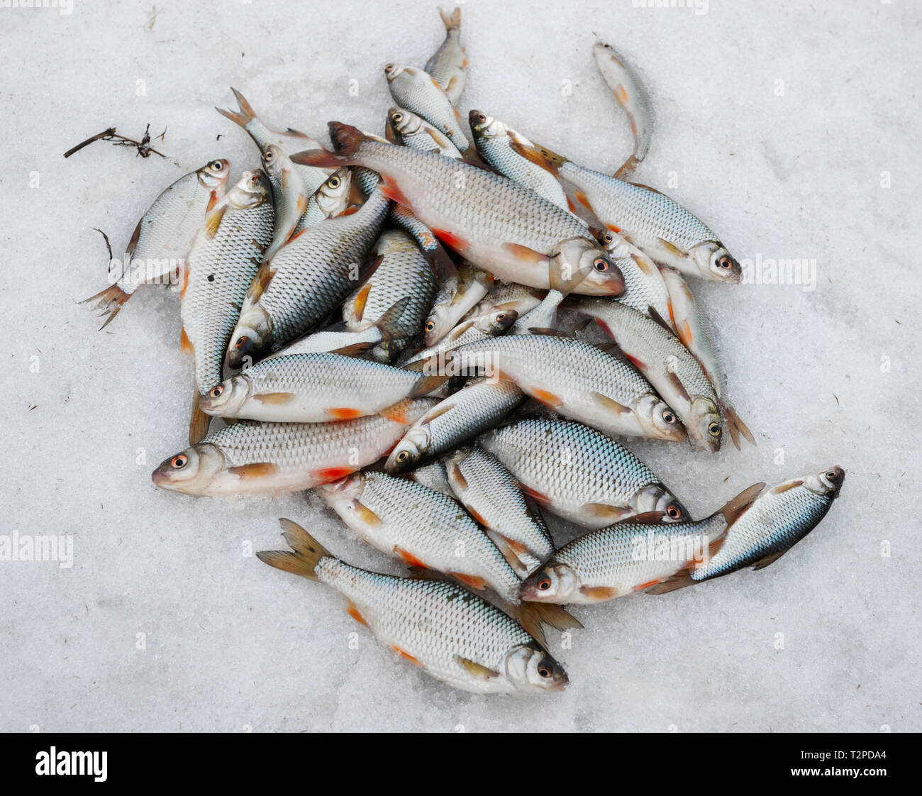 The roaches snow hi-res stock photography and images - Alamy