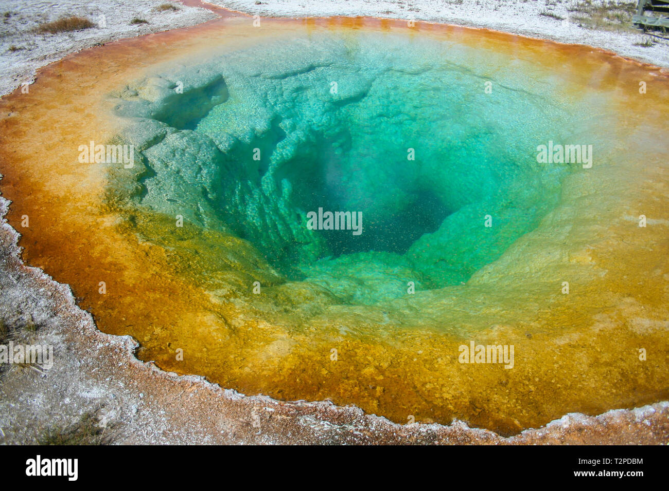 Yellowstone national park and geyser pools Stock Photo - Alamy