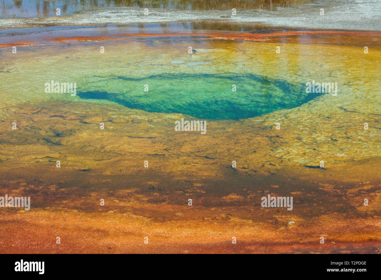 Yellowstone national park and geyser pools Stock Photo - Alamy
