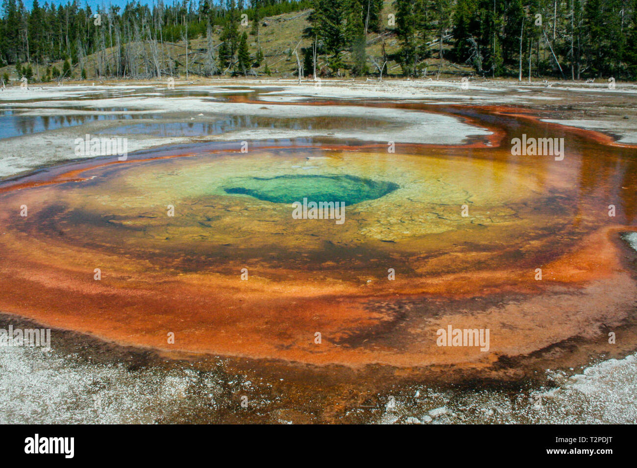 Yellowstone national park and geyser pools Stock Photo - Alamy