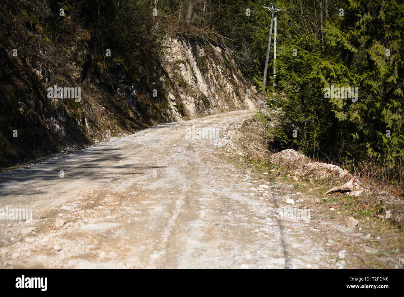 Norrish Creek Forest Service Road in Dewdney, Mission, British Columbia ...