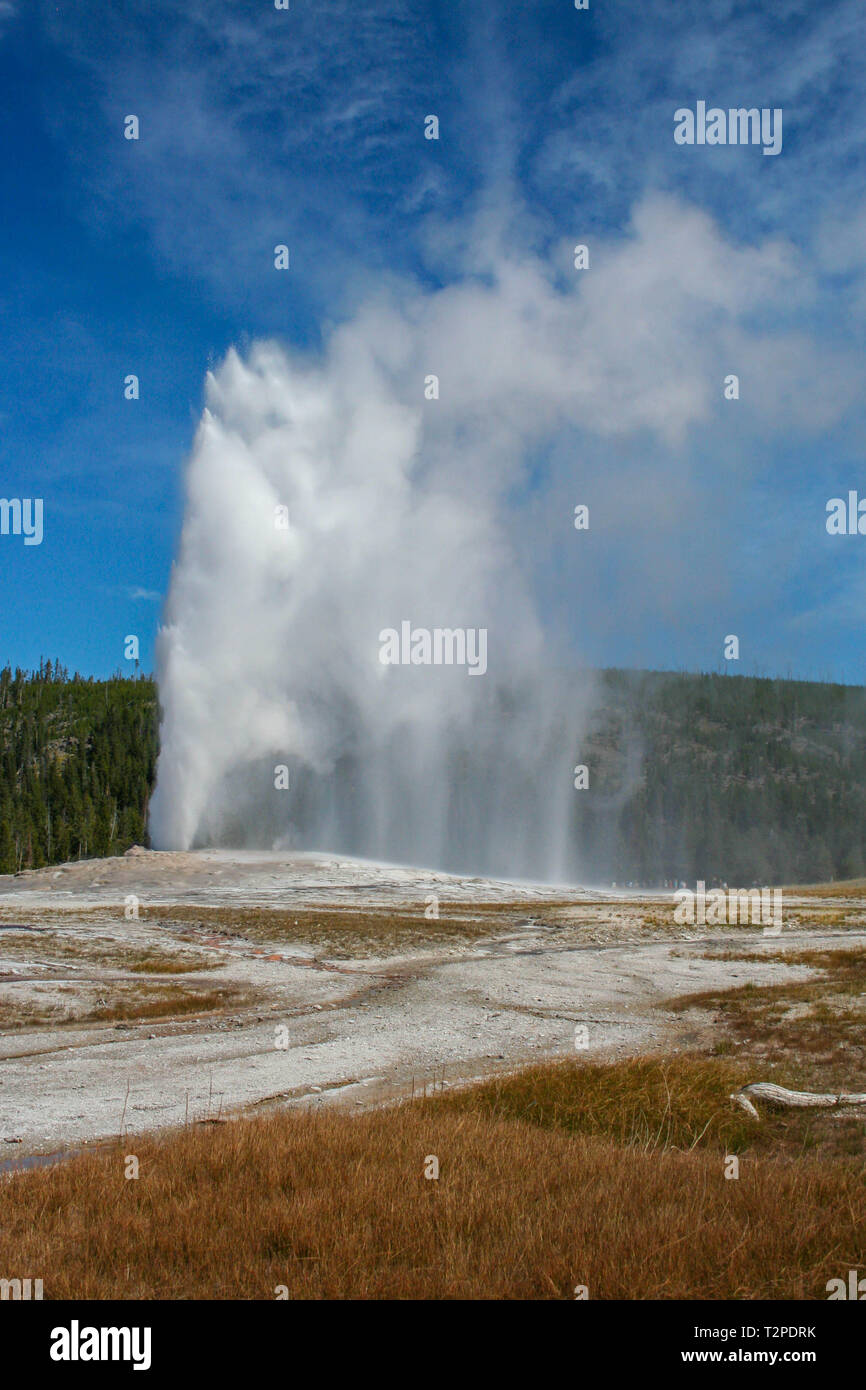 Yellowstone national park and geyser pools Stock Photo - Alamy