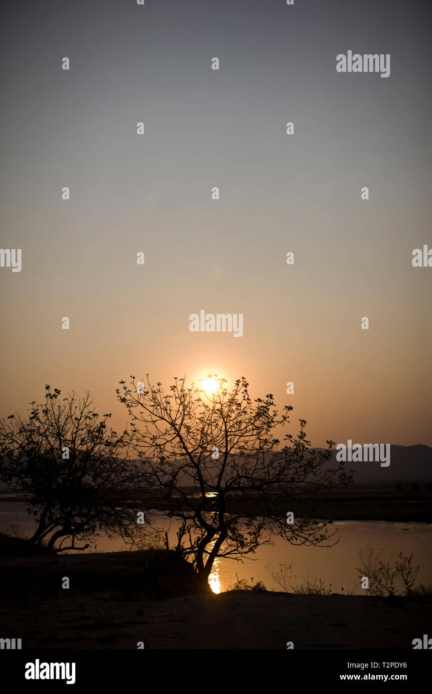 Vegetation plant plants color image images photograph photography ...