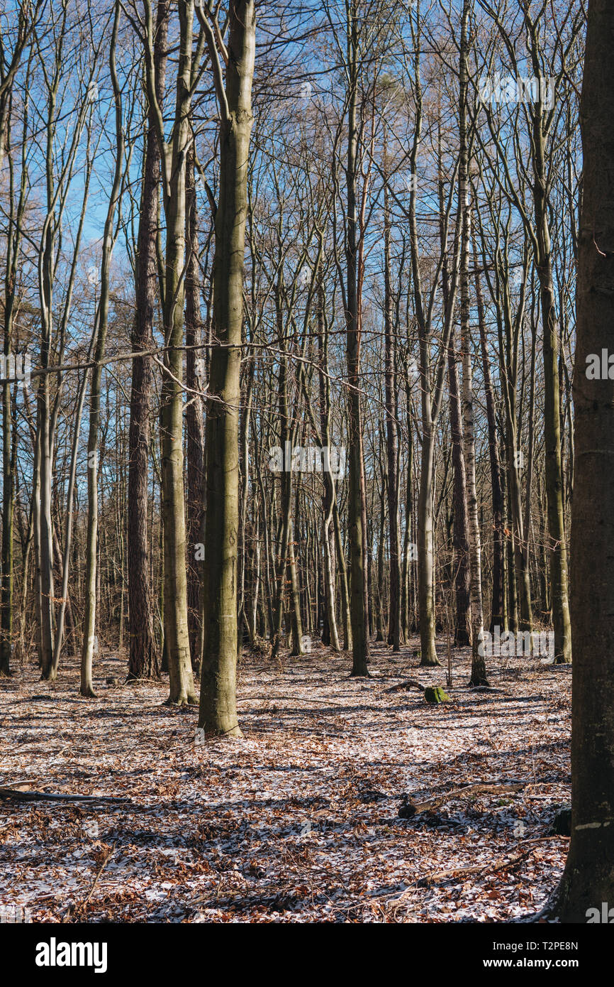 Temperate season hi-res stock photography and images - Alamy