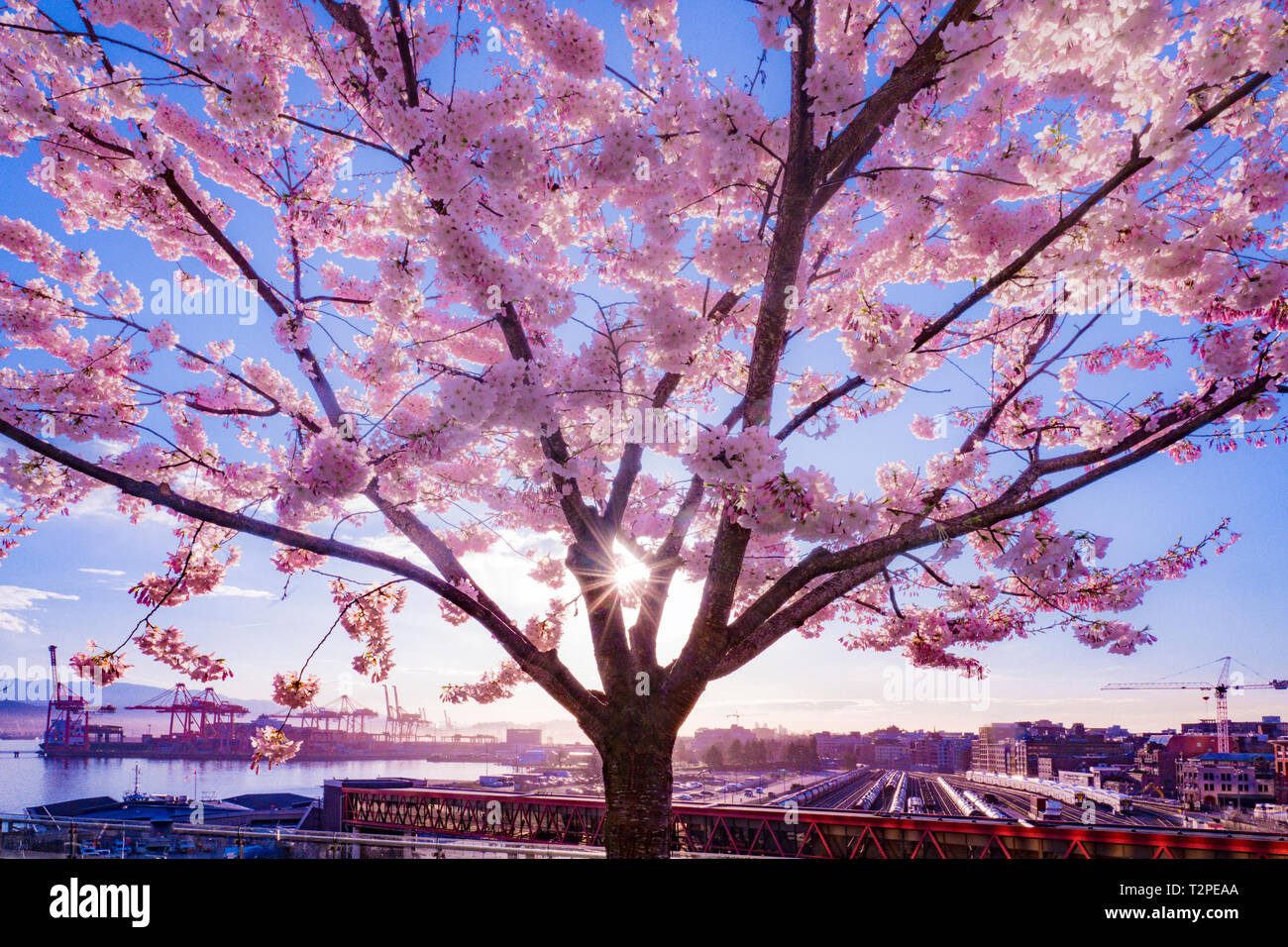 Sunbuerst High Resolution Stock Photography and Images - Alamy