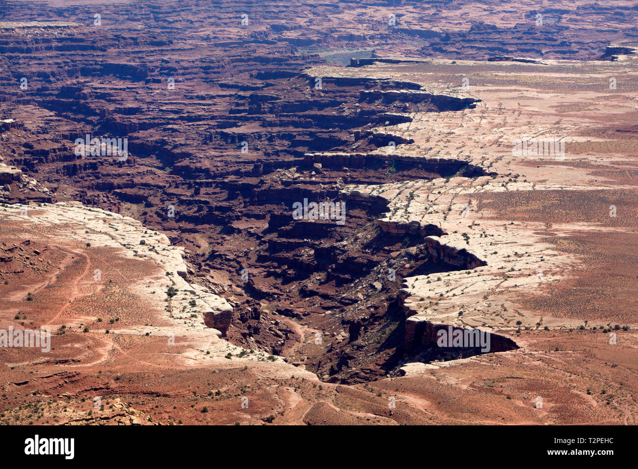 Buck Canyon Overlook, Canyonlands National Park, Utah, America Stock ...