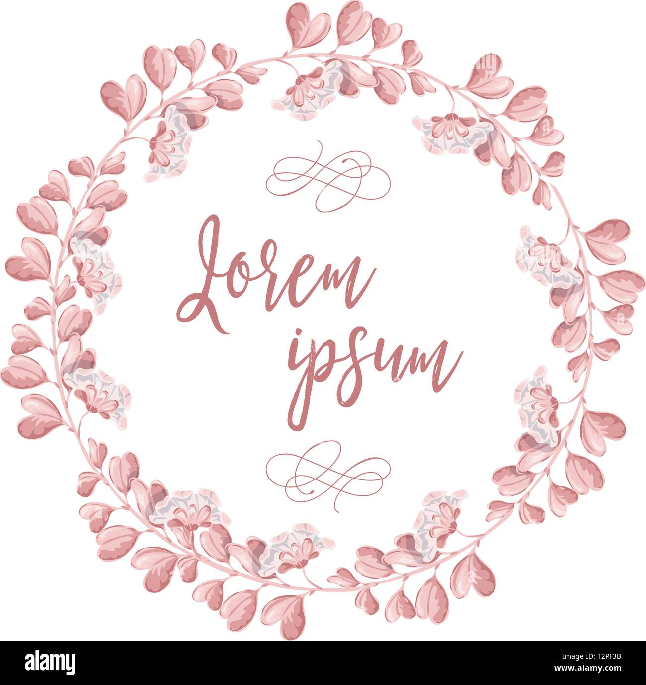 Pink aster flowers frame hi-res stock photography and images - Alamy