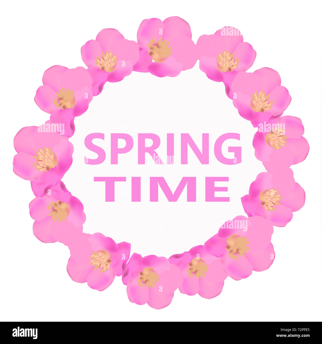 Bright spring flowers. Spring time background with beautiful colorful ...