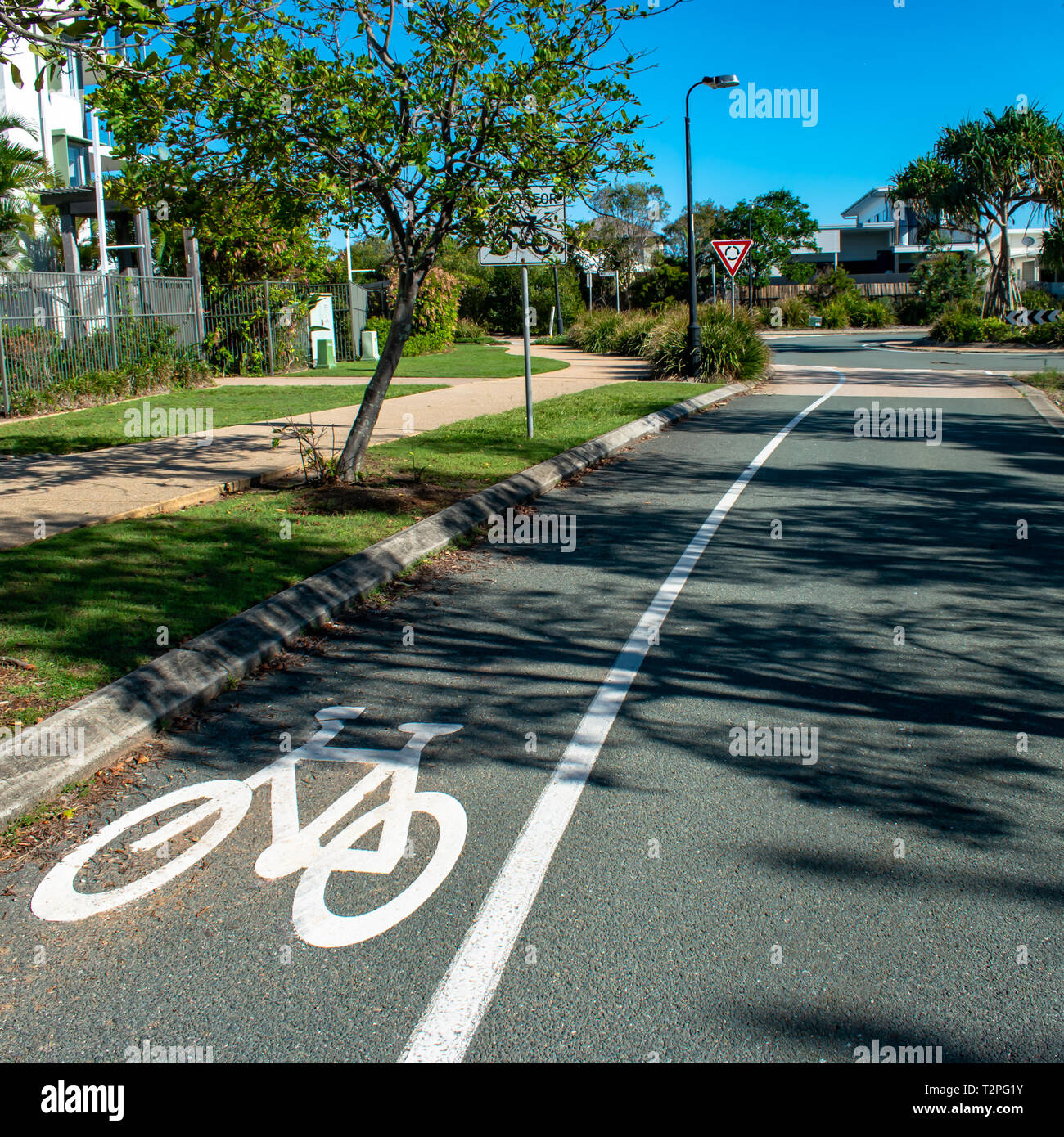 A badly placed road sign behind a tree potentially causing a safety ...