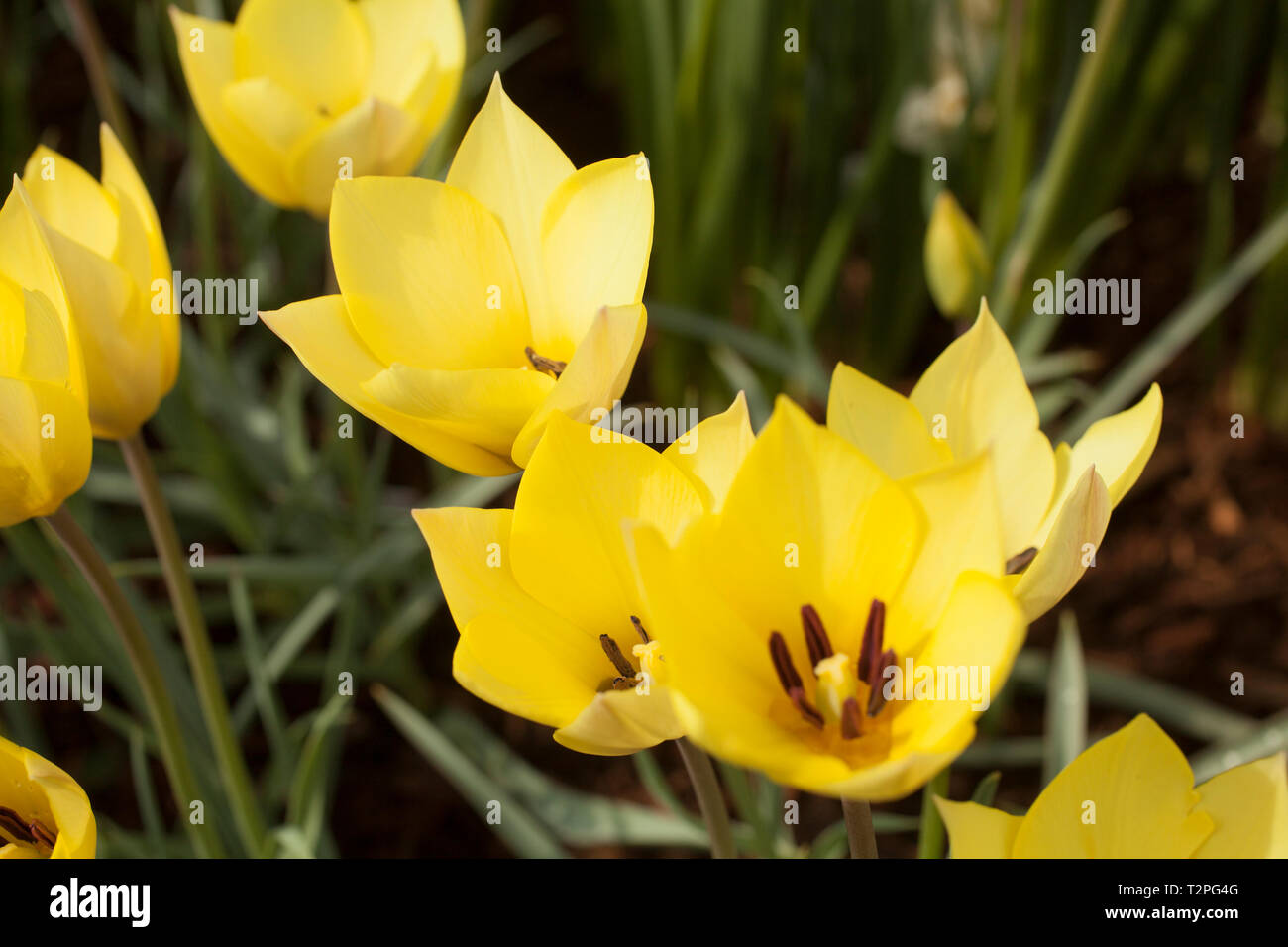 Mount holyoke college hi-res stock photography and images - Alamy