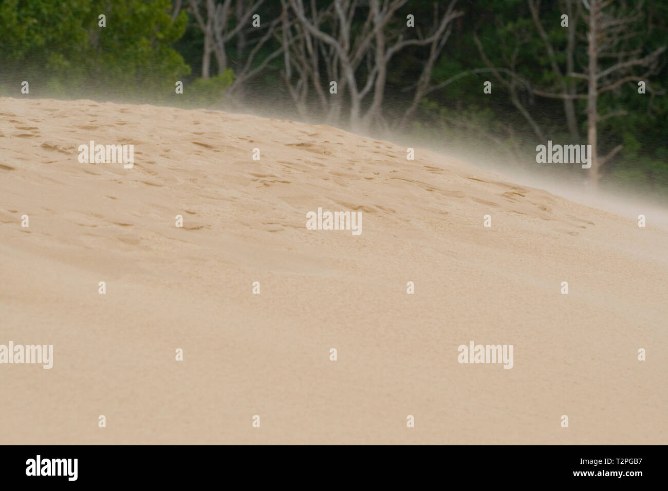 Silver Lake State Park Sand Dunes, Michigan Stock Photo - Alamy