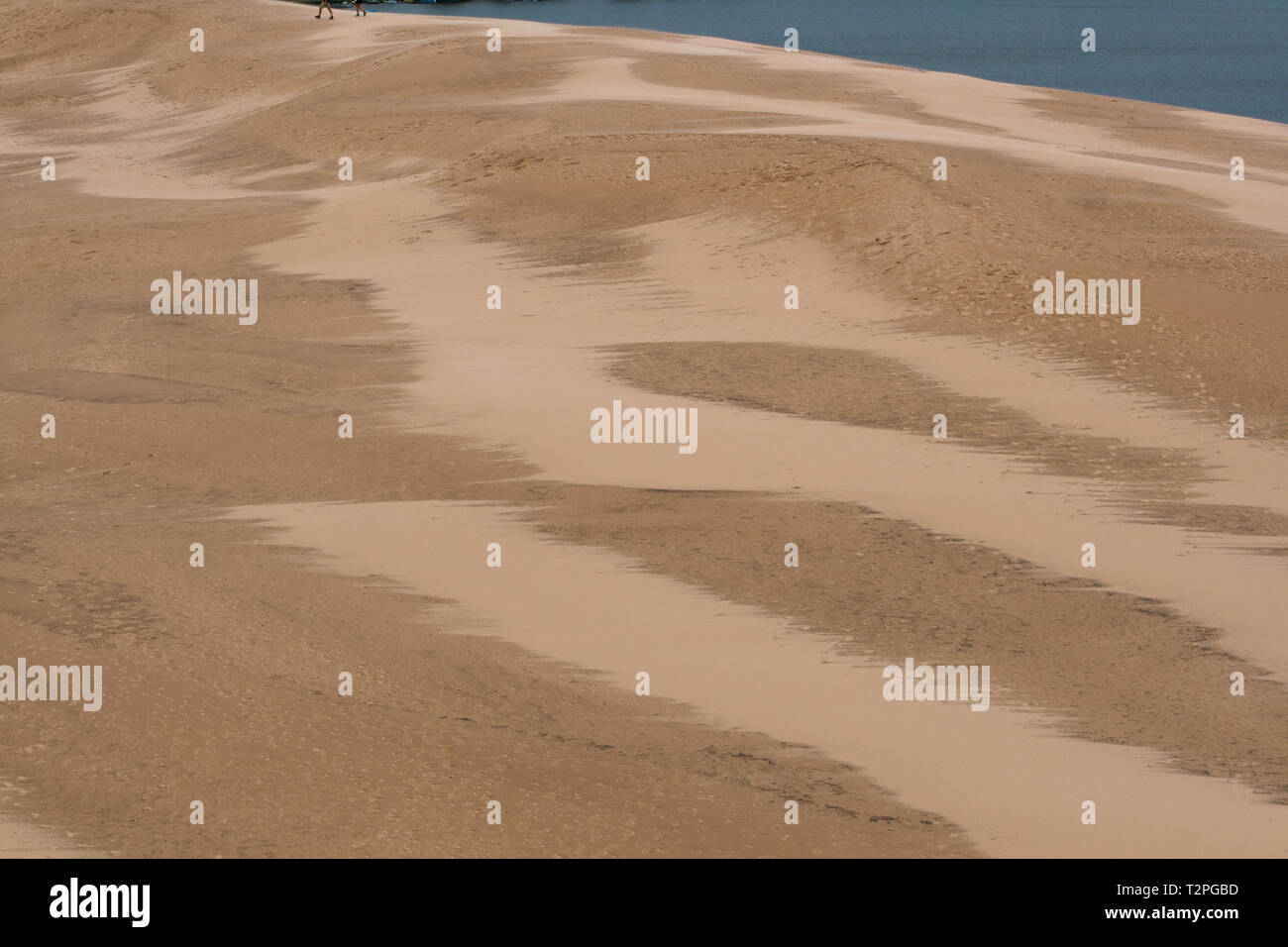 Silver Lake State Park Sand Dunes, Michigan Stock Photo - Alamy