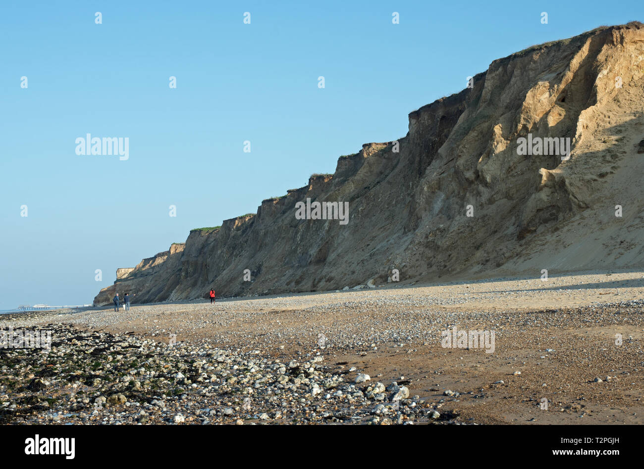 The cliffs between East and West Runton, Norfolk, UK Stock Photo - Alamy