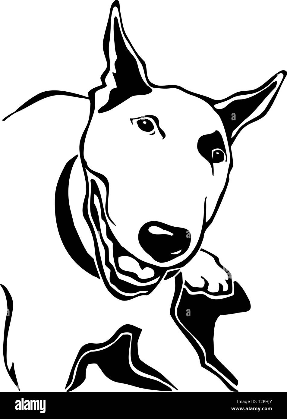 Bull Terrier Illustration Stock Vector Image & Art - Alamy