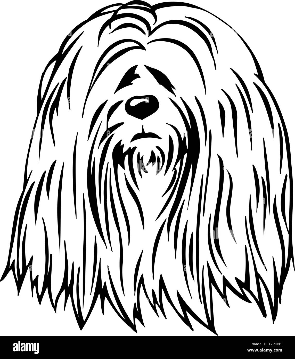 Lhasa apso dog Stock Vector Images - Alamy