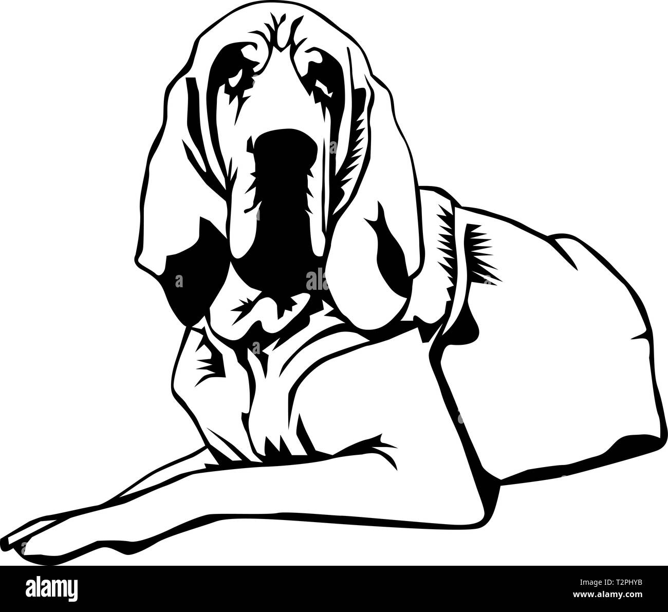 Bloodhound Vector Illustration Stock Vector Image & Art - Alamy
