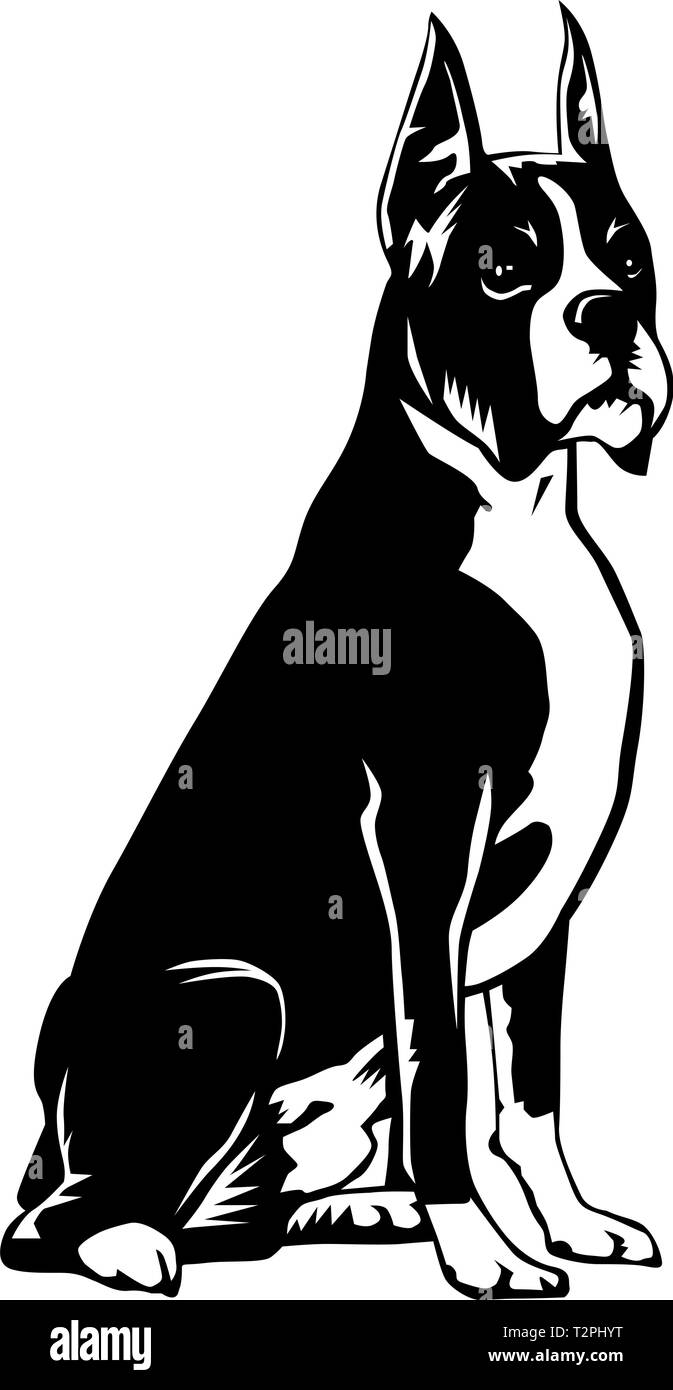 Boxer Vector Illustration Stock Vector Image & Art - Alamy