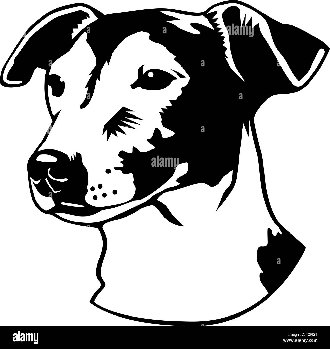 Jack Russell Terrier Vector Illustration Stock Vector Image & Art - Alamy