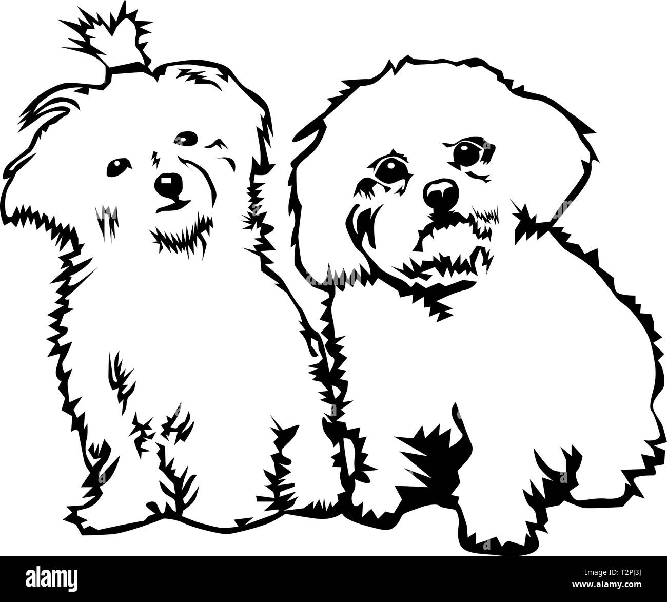Maltese Dog Stock Vector Images - Alamy