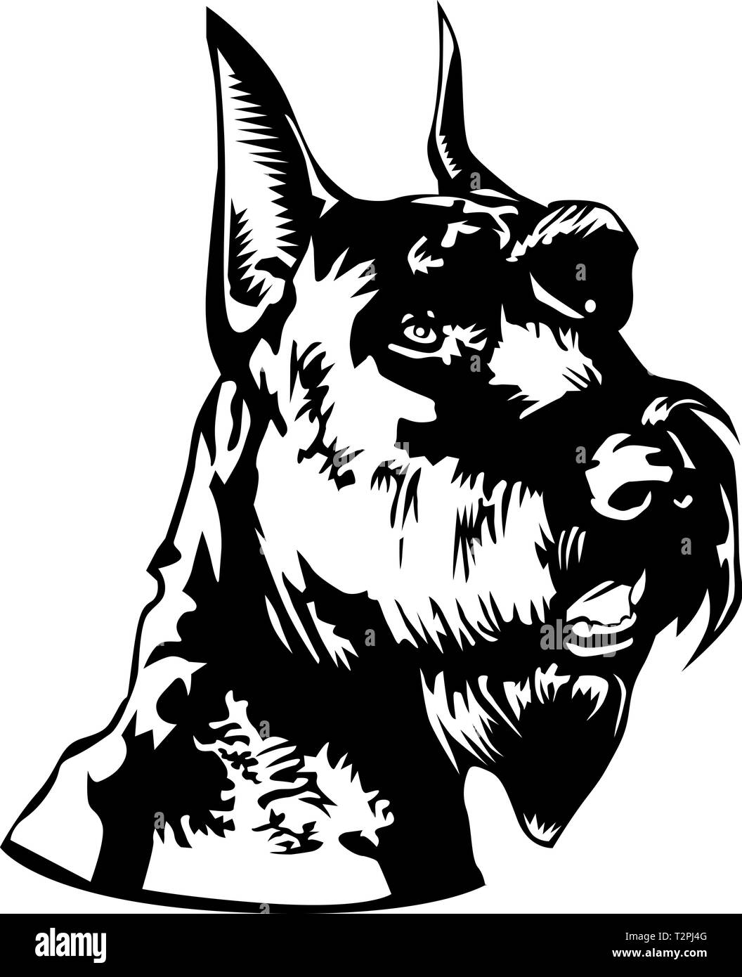 Schnauzer Vector Illustration Stock Vector Image & Art - Alamy