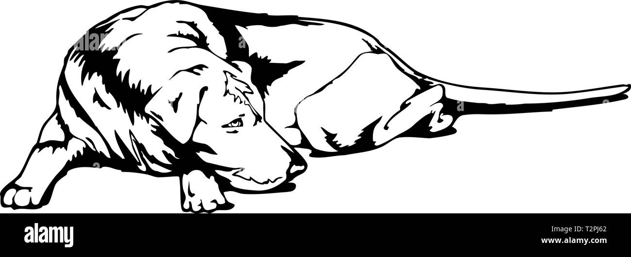 Sleeping Dog Vector Illustration Stock Vector Image & Art - Alamy