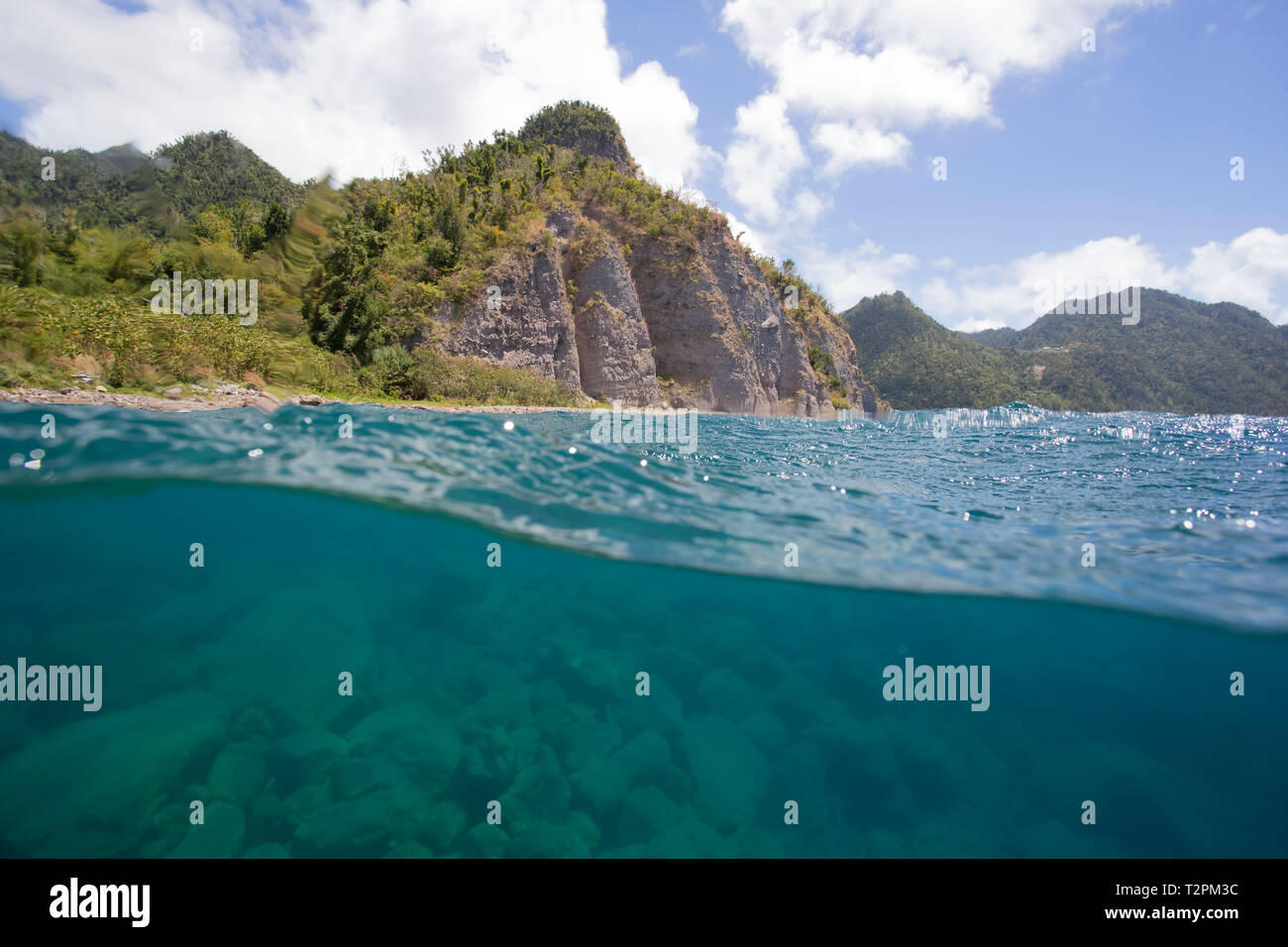 Split shot underwater photo of Dominica's coastline in the Caribbean ...