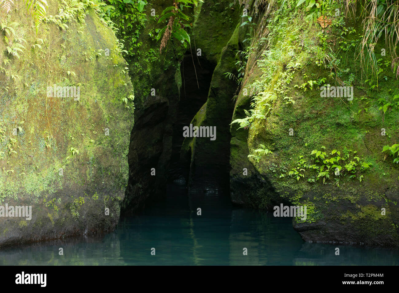 Titou Gorge, Dominica, Caribbean Stock Photo - Alamy