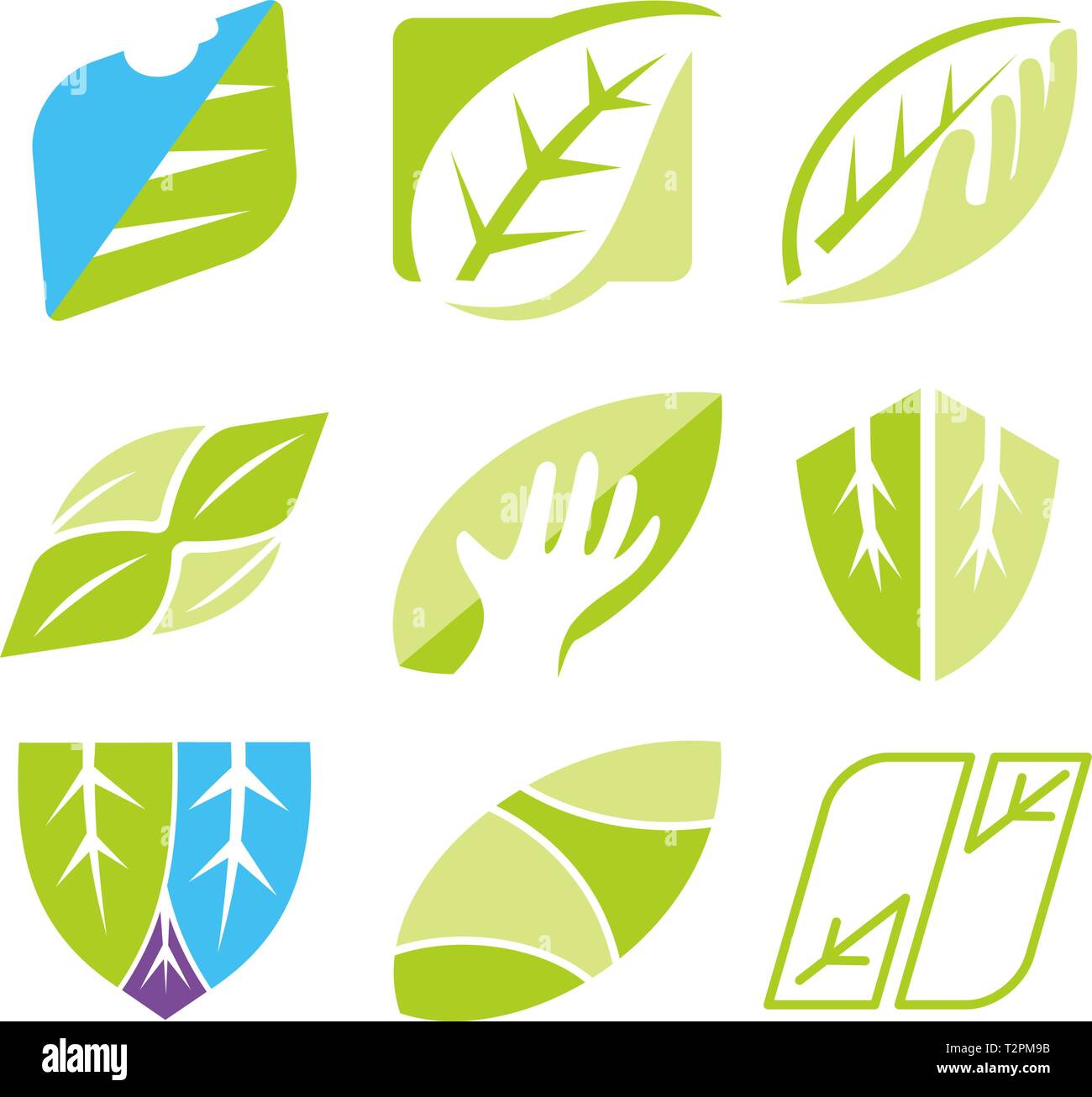 Leaf Logo Design Vector Template Set Stock Vector Image & Art - Alamy