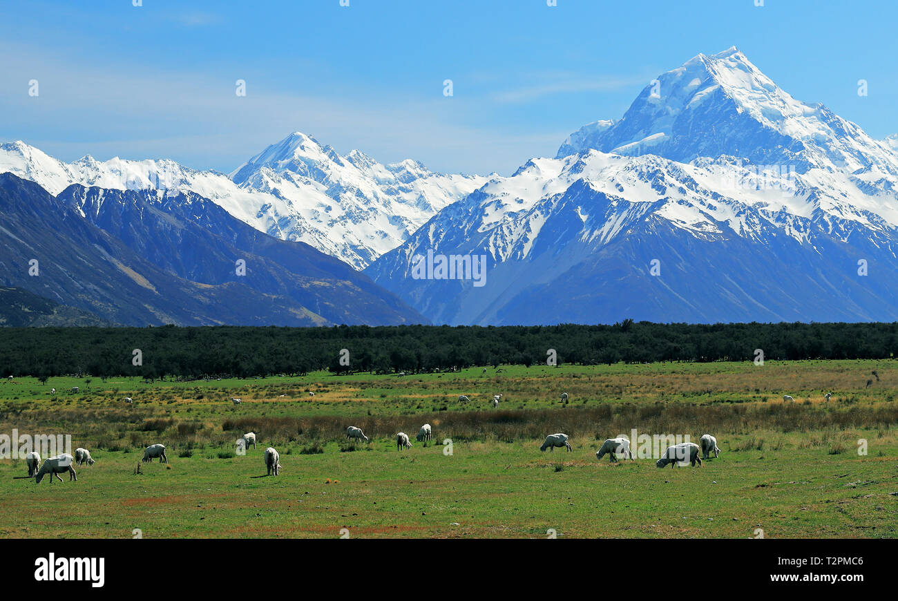 Mount Cook National Park Stock Photo - Alamy