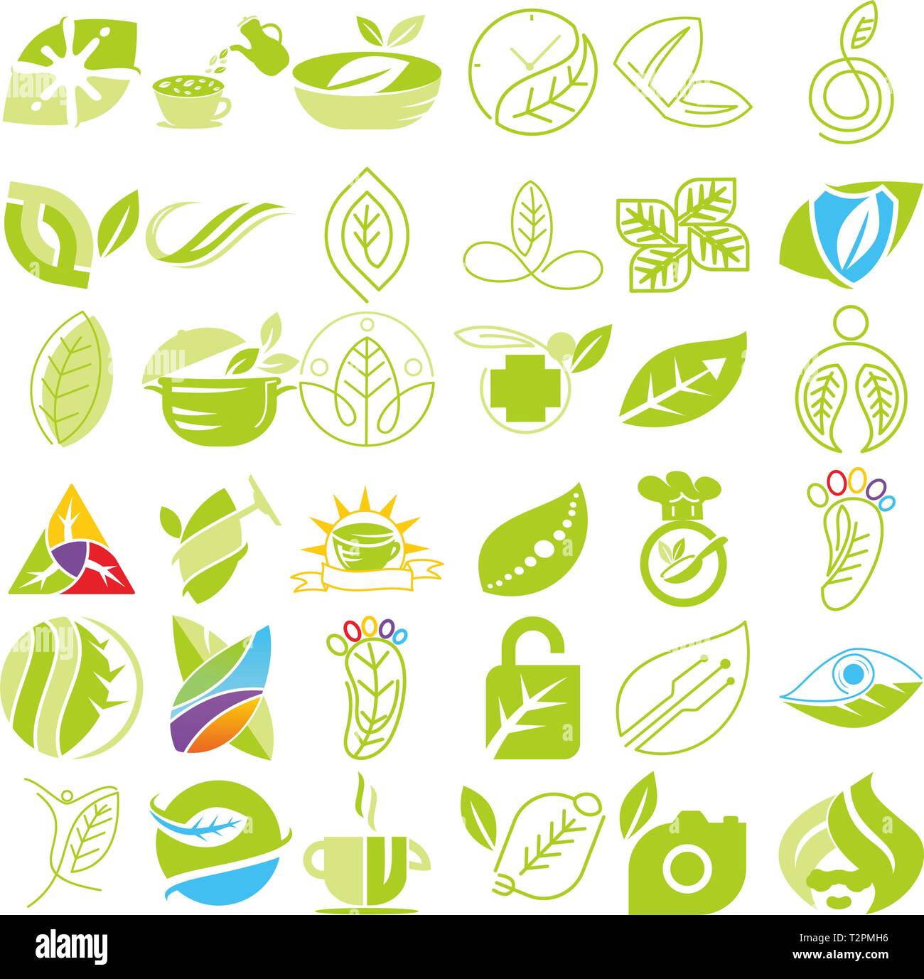 Leaf Logo Design Vector Template Set Stock Vector Image & Art - Alamy