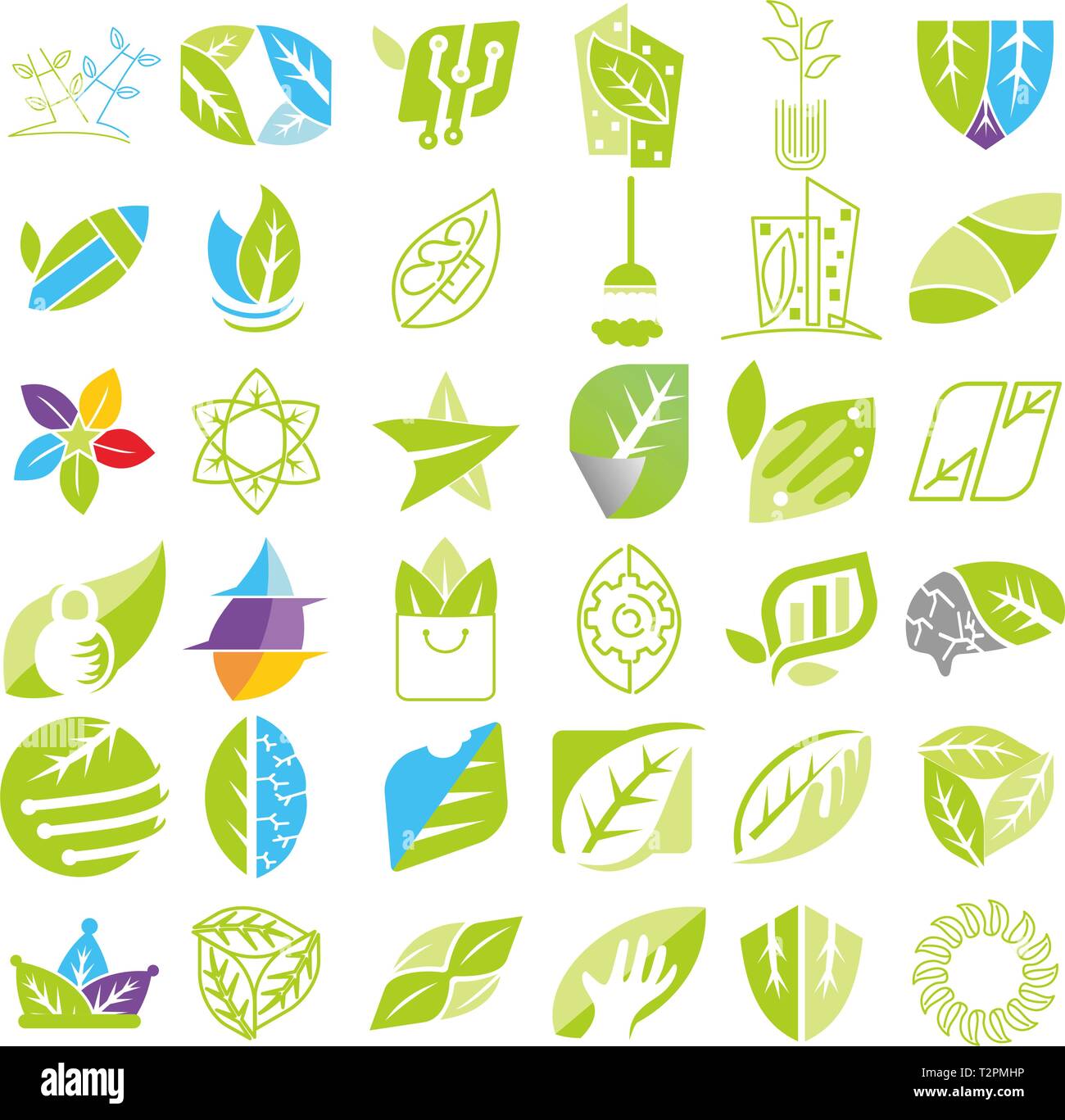 Leaf Logo Design Vector Template Set Stock Vector Image & Art - Alamy