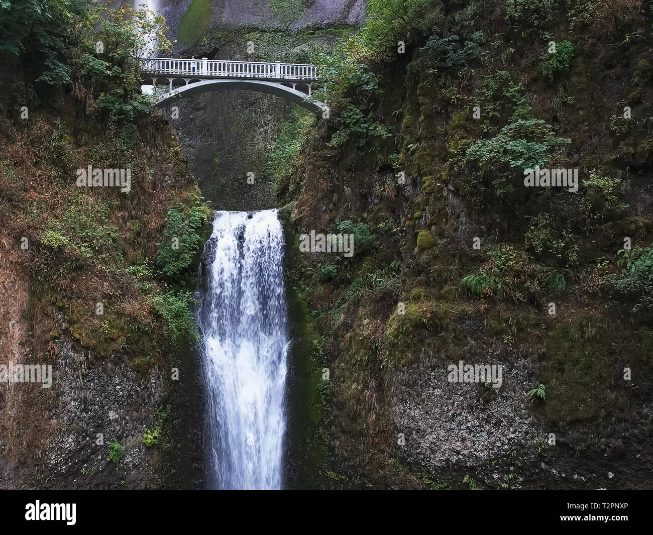 bridge and the lower step of multnomah falls in portland oregon Stock ...