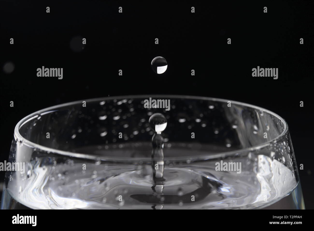 Water Drop in the glass cup in front of the black background Stock ...