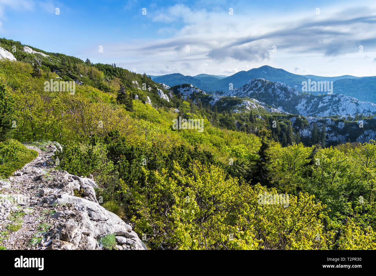 National park Sjeverni Velebit. One of the most beautiful parts of ...